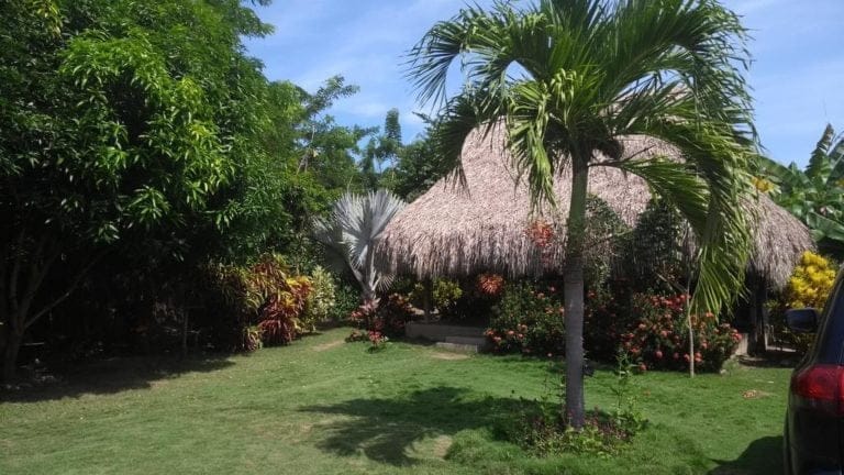 Voir les flamants roses au Sanctuaire de faune et de flore (2023) - Mon ...