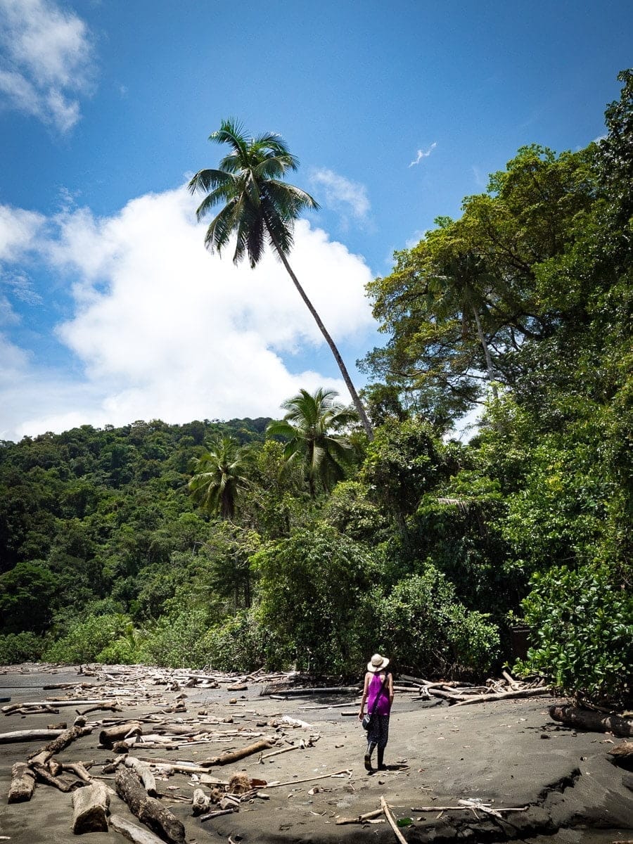 Visiter le Parc Naturel d'Utria, côte pacifique / Mon voyage en Colombie