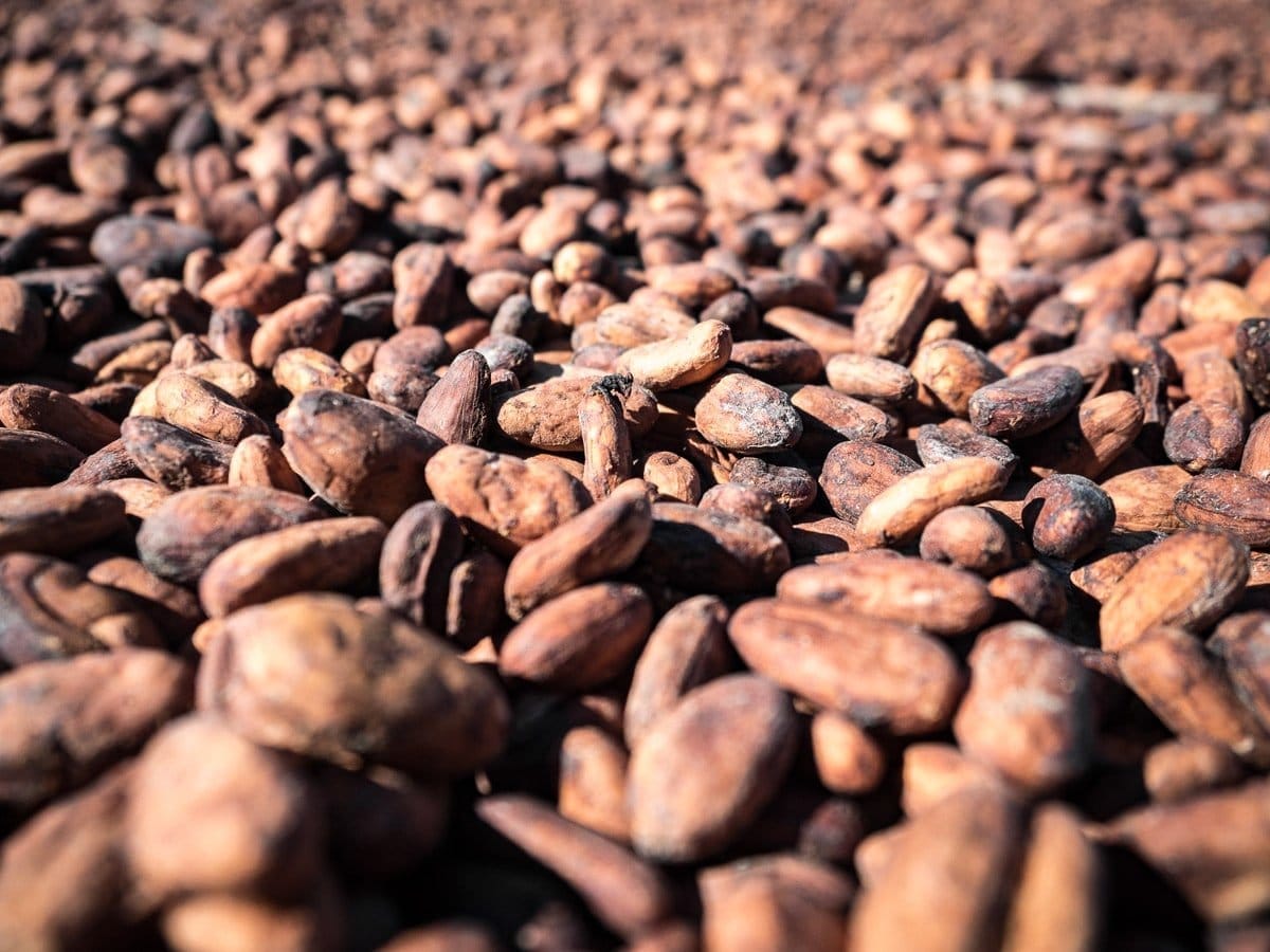 Minca, dans la Sierra Nevada de Santa Marta / Mon voyage en Colombie