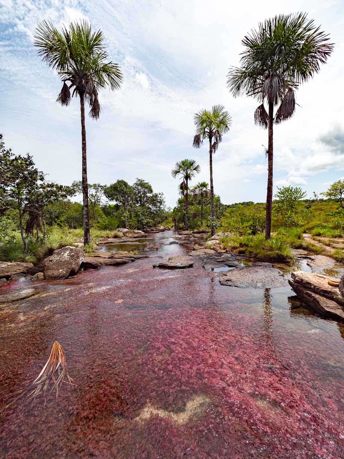 Visiter le Guaviare aux portes de l'Amazonie / Mon voyage en Colombie